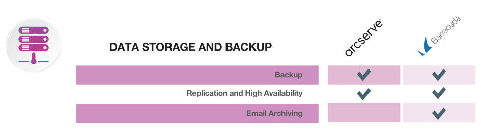 Prolink Cyber Security Firewall Network And Data Security And Products Data Storage And Backup