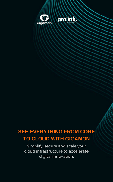 Prolink Cyber Security Firewall Network And Data Security And Products Home