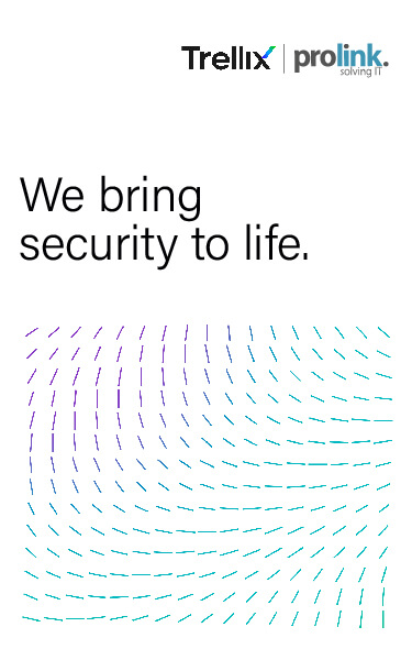 Prolink: Cyber Security, Firewall, Network and Data Security and ...